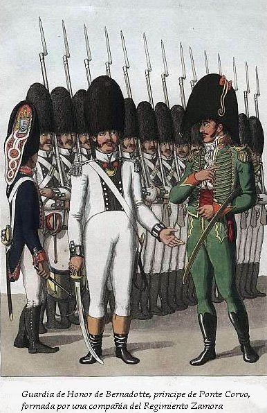 LA HISTORIA PUSO AL REGIMIENTO ZAMORA EN EUROPA :: El macuto del ...
